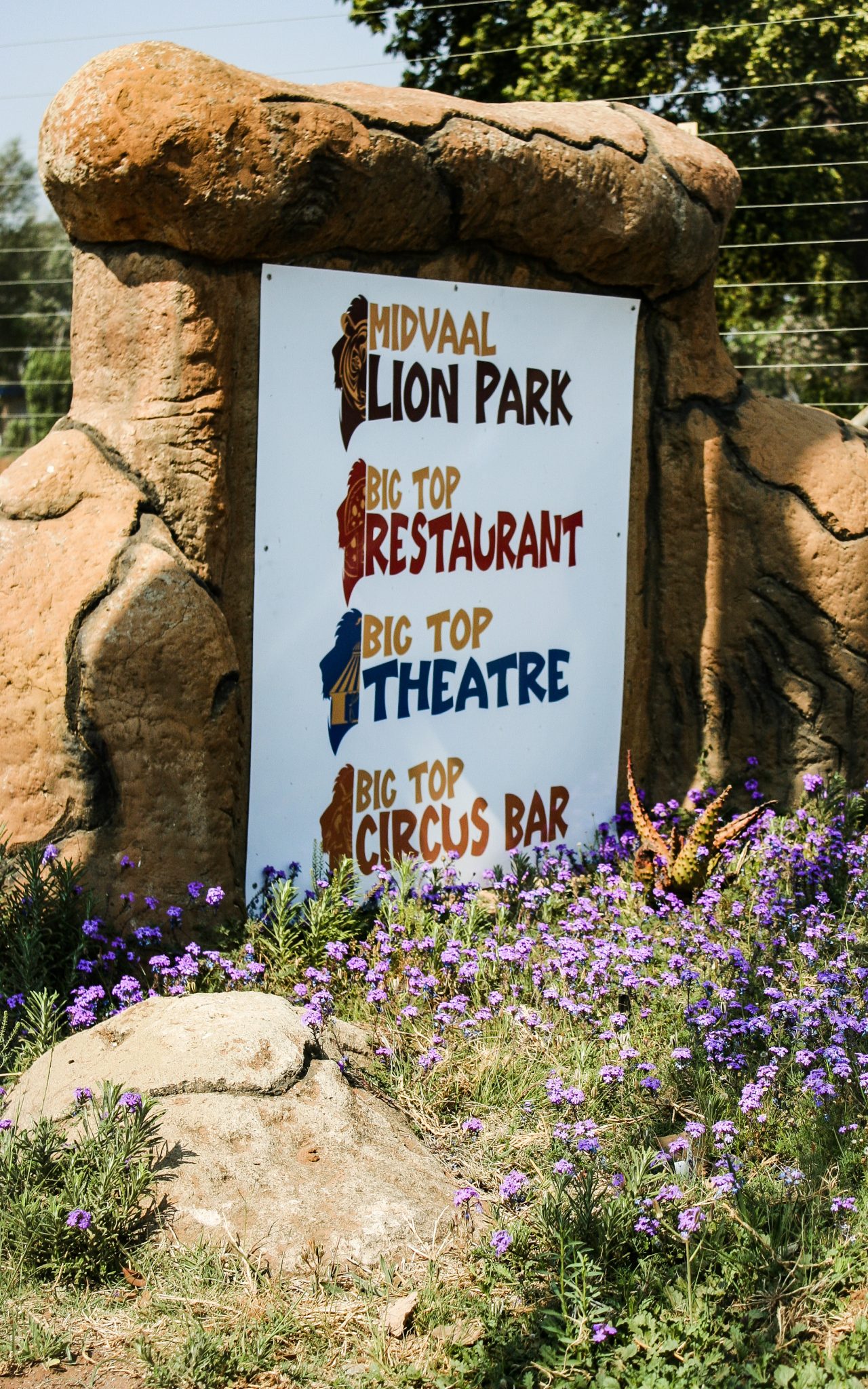 Midvaal Lion Park. – Priceless Moments Photography